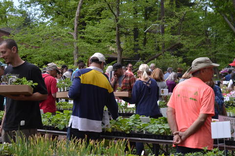 5 Fun Things To Do In New Brunswick This Weekend | New Brunswick, NJ ...