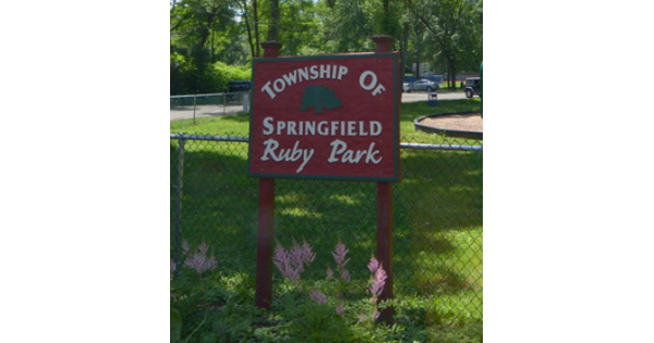 Trees to Come Down in Ruby Park This Week | Springfield, NJ News TAPinto