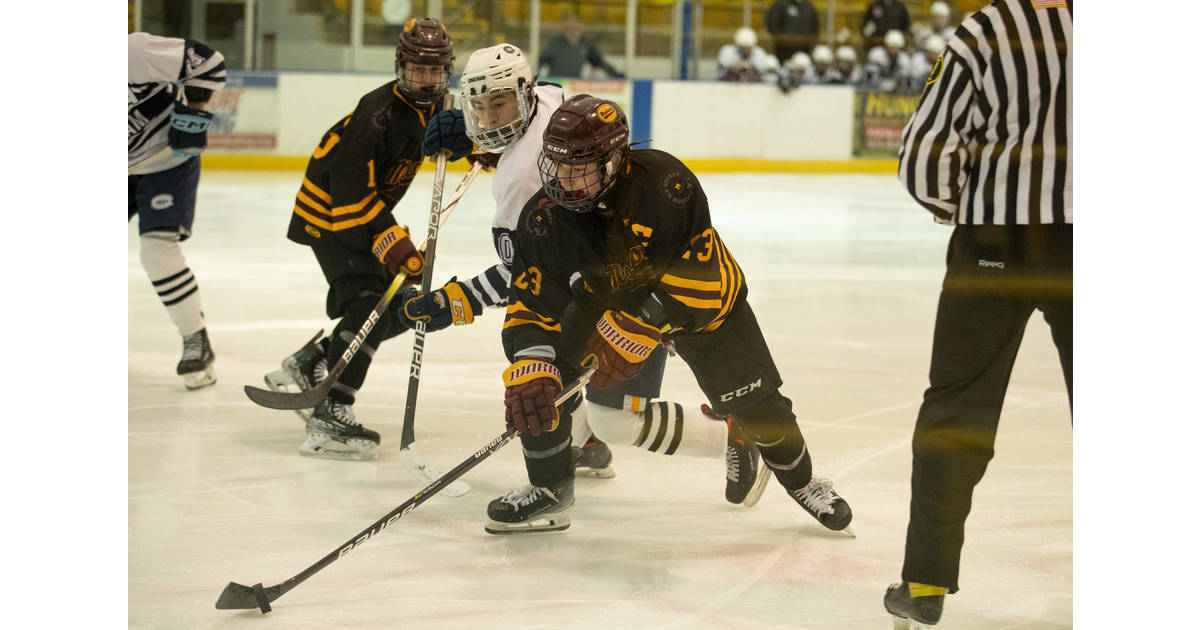 4 Madison Ice Hockey Players Receive Post Season Honors | Madison, NJ ...