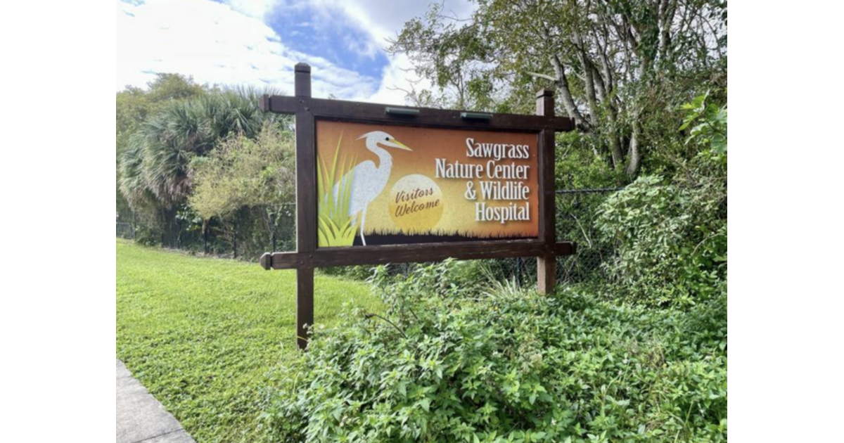 Sawgrass Nature Center in Coral Springs Brings Back Camp WILD for ...