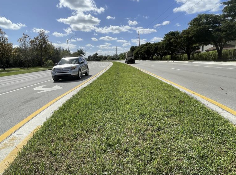 Highway Median