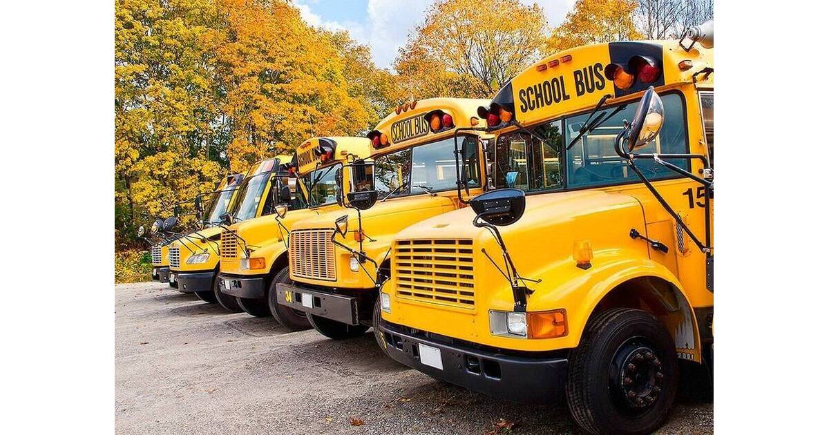 Woodbridge Study: Drivers Who Don’t Stop for School Buses Put Kids in ...