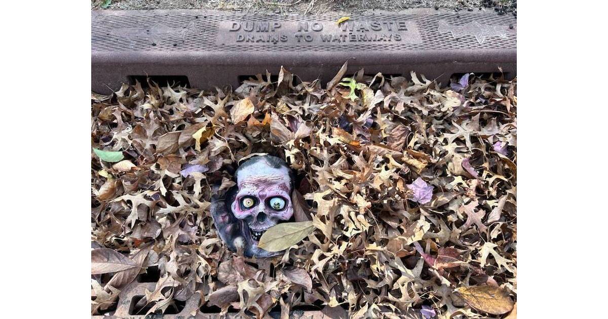 Join the Berkeley Heights vs. Chatham Township “No More Scary Drain ...