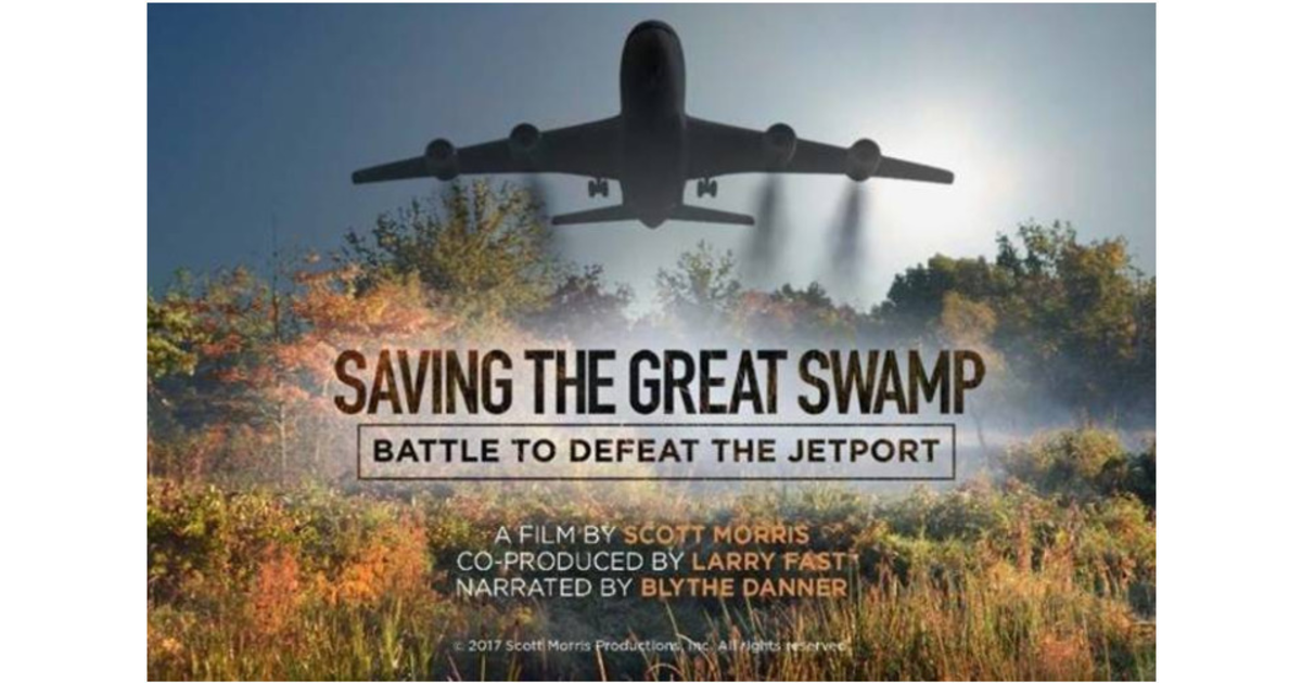 What's So Great About the Great Swamp? - For Starters, It’s a ...