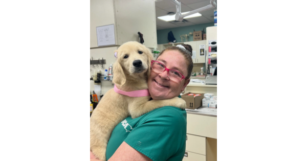 Local Vet Clinic Features Latest Medical Technology, Home Town Care ...