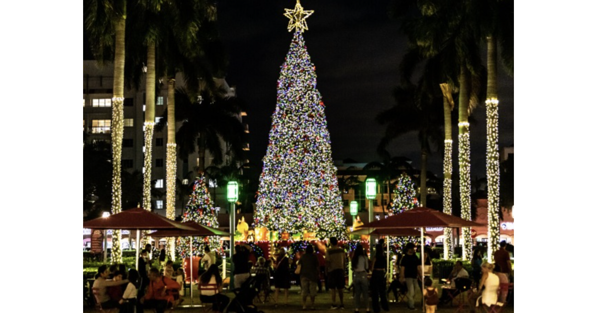 Boca Raton Set for Holiday Tree Lighting Celebration at Mizner Park on ...