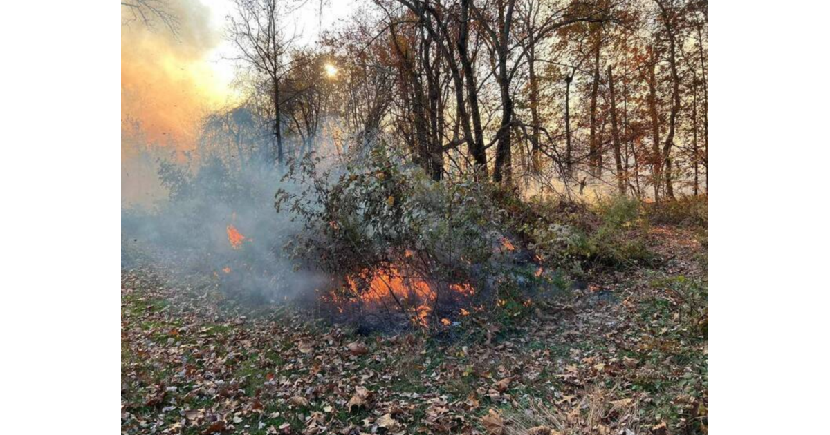 Fire Ban: Union Chief Warns of Extreme Conditions Due to Warm, Dry ...