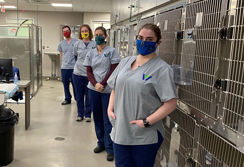 It's Veterinary Appreciation Day: Sharing Our Appreciation for Our ...