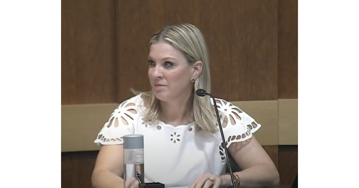 Summit Planning Board Advances Zoning Reforms, Tables Tatlock Field ...