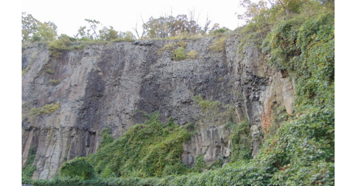 West Orange Resident Asks Town Council to Protect Mt. Pleasant Forest ...