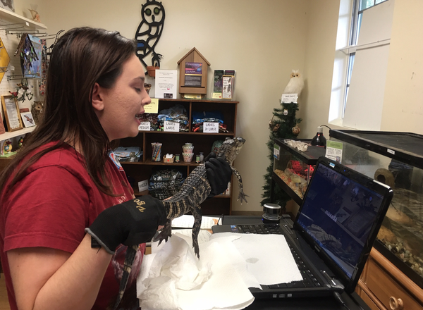 Coral Springs Nature Center Raises Money To Teach Environment To Low ...