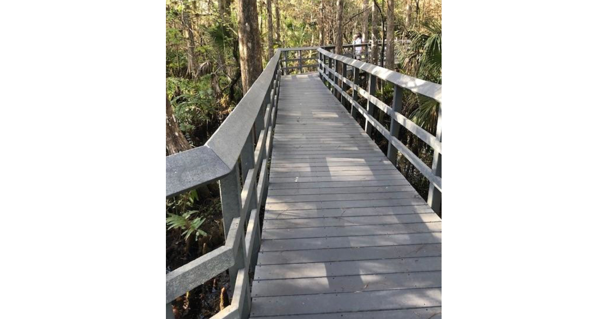 Boardwalk-Style Pathway Included in Everglades Pedestrian Bike Loop in Coral Springs | Coral ...