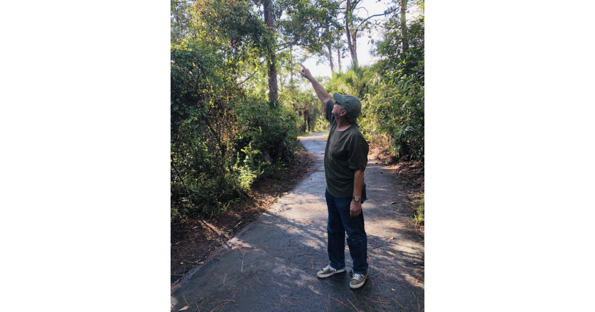 Explore Wild Coral Springs: Free Guided Tour of Sandy Ridge Sanctuary ...