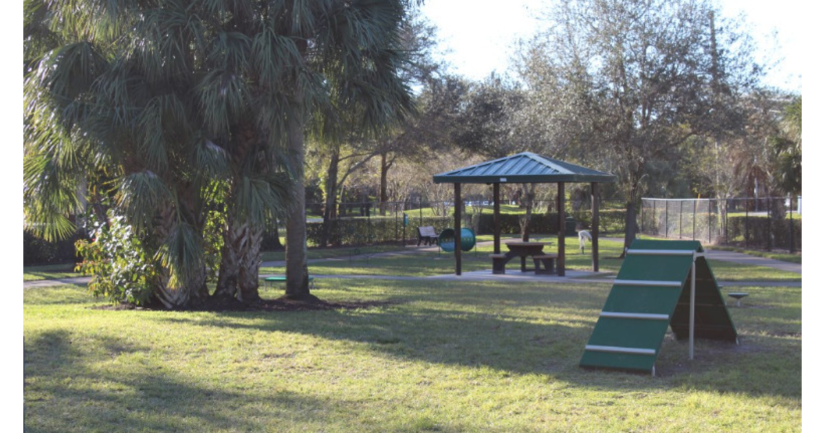 Barkland Reopens With New Agility Equipment | Parkland, FL News TAPinto