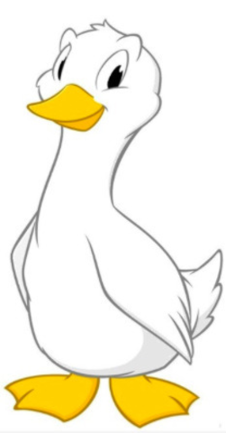 The Great Wayne Goose Chase | Wayne, NJ News TAPinto