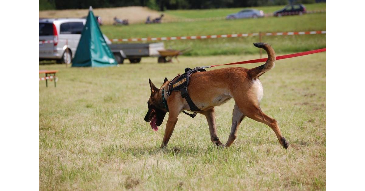 Roxbury P.D. to Host Seminar on Finding Missing Autistic People ...