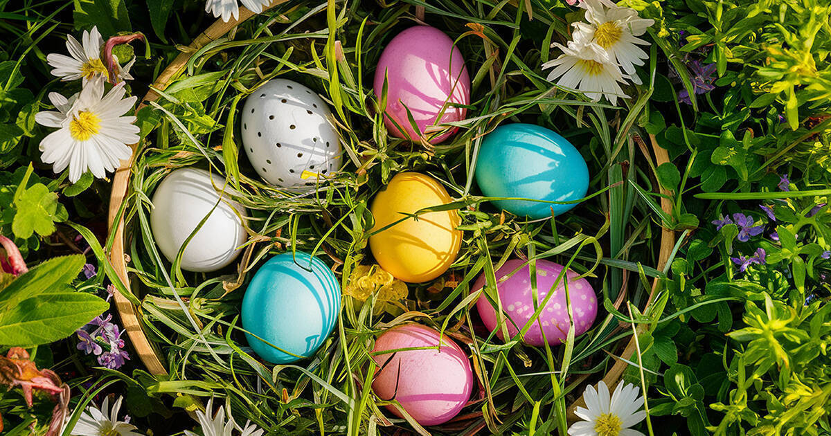 Plainfield's Saturday Easter Egg Hunt Canceled for Weather; Grab-and-Go ...