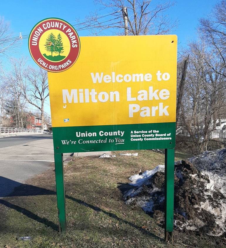 Milton Lake Cleanup Tomorrow, Labor of Love for Park and Nature ...