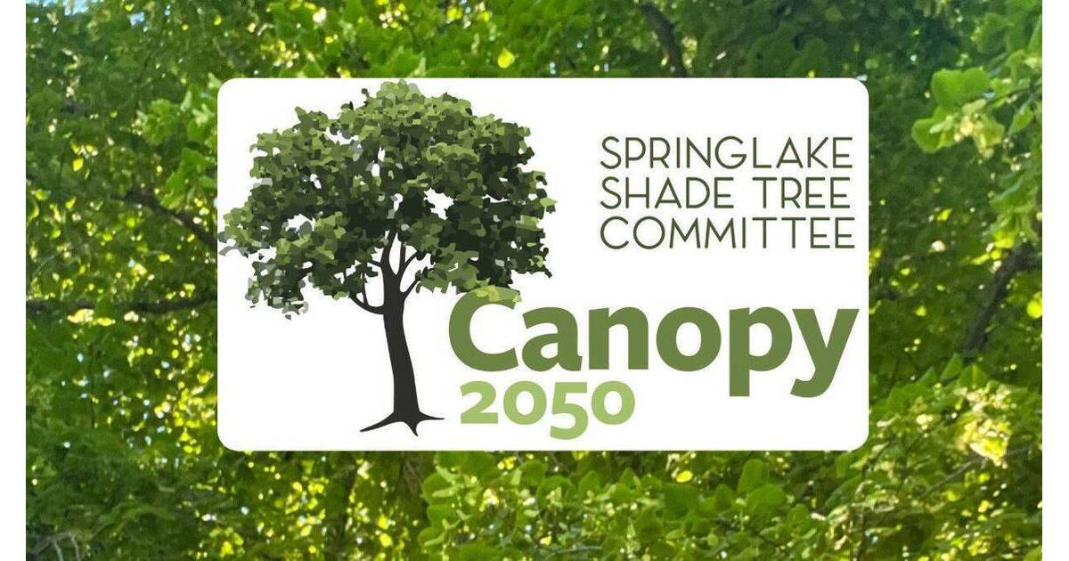 Spring Lake’s Tree Champions: Canopy 2050: The Tree Plan That Could ...