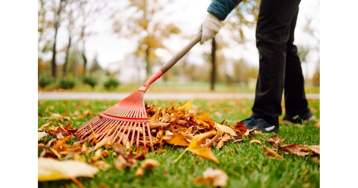 Somerset County Assembles Volunteer Teams for Fall Leaf Clean-Up ...