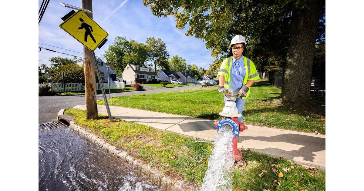 New Jersey American Water Schedules Flushing of Water Mains in ...