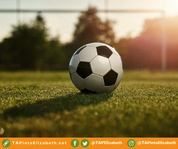 Elizabeth High School Boys' Soccer Team Bounces Back | Elizabeth, NJ ...