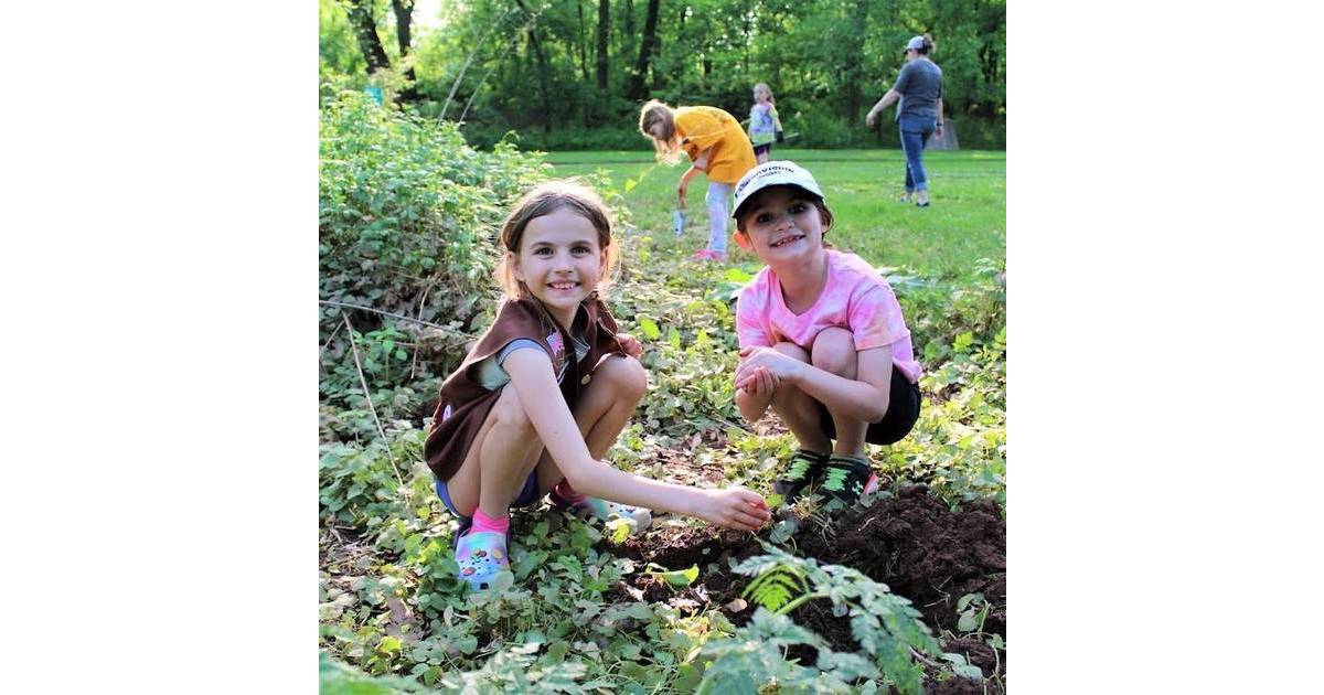 Somerville Girl Scouts Plant Seedlings Along Peters Brook Greenway ...