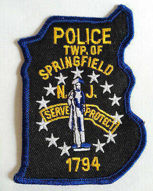 Springfield Police Charge Plainfield Teen with Obstructing Justice ...
