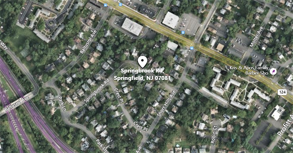 Springbrook Road Renovations Postponed Until 2022; Updates on Other ...