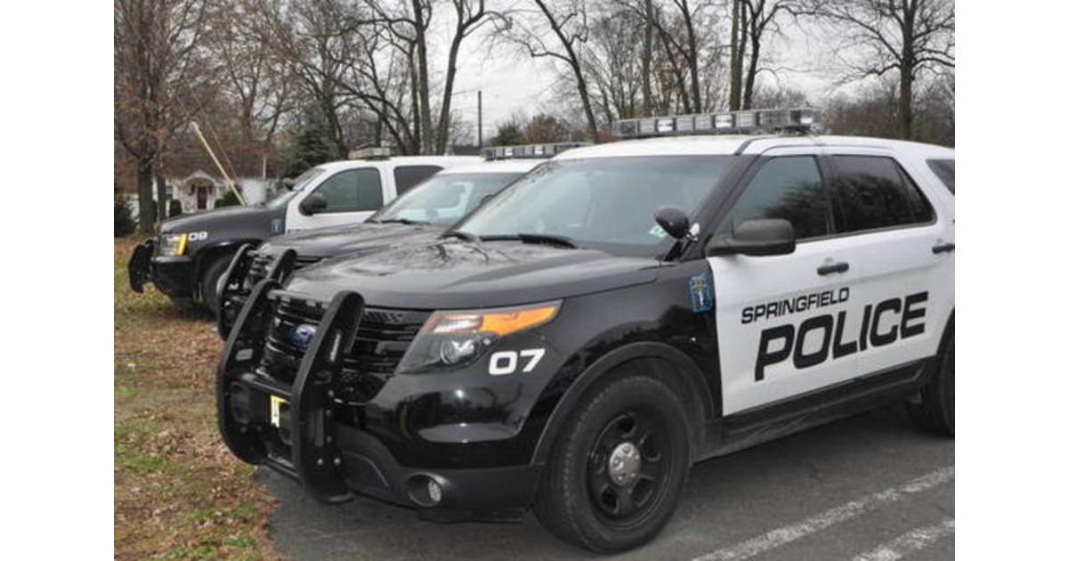 Springfield Police Arrest Middlesex County Man on Stolen Property ...