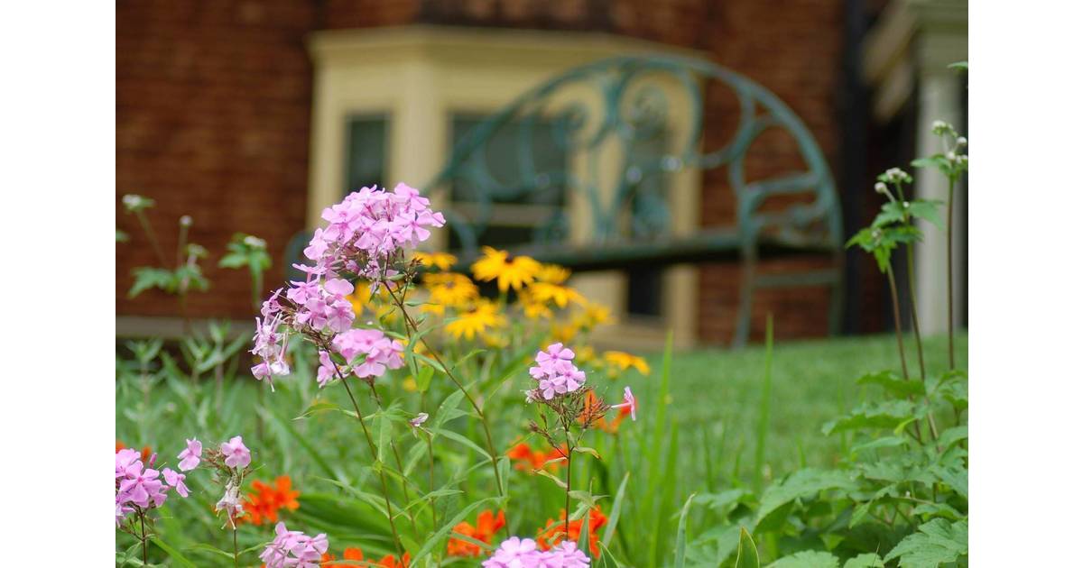 'Two-Hour Nature Time': Overlook Foundation's $10,000 Grant Supports ...