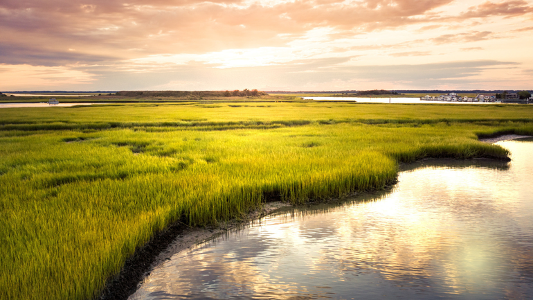 Roxbury, NJ Local News | TAPinto