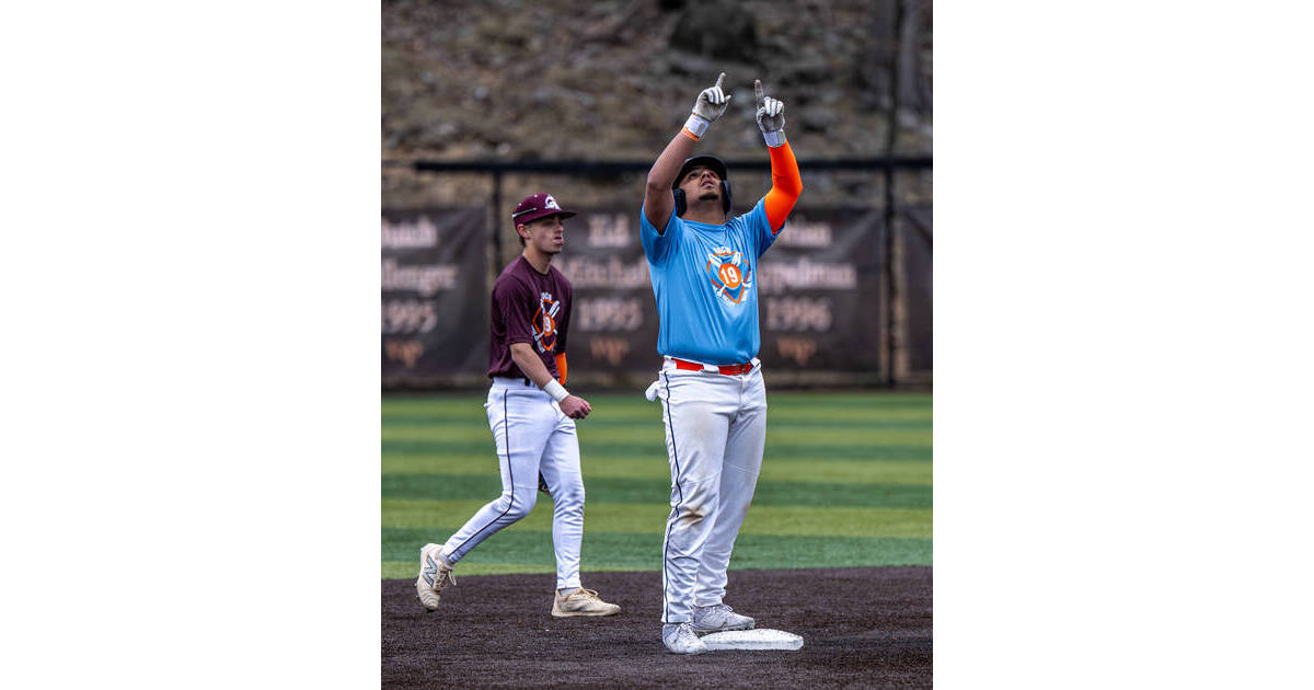 A Baseball Game for Rocco - Representing his Senior Year, Wayne Valley ...