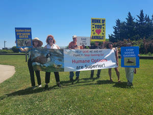 Animal Protection Group to Protest the Gassing of Geese at Teterboro ...