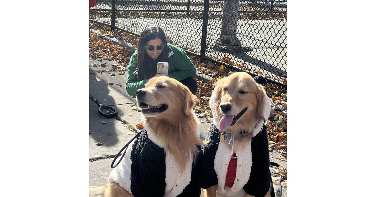 Hoboken Howl-O-Ween: Dogs Dazzle in Costume Contest | Hoboken, NJ News ...