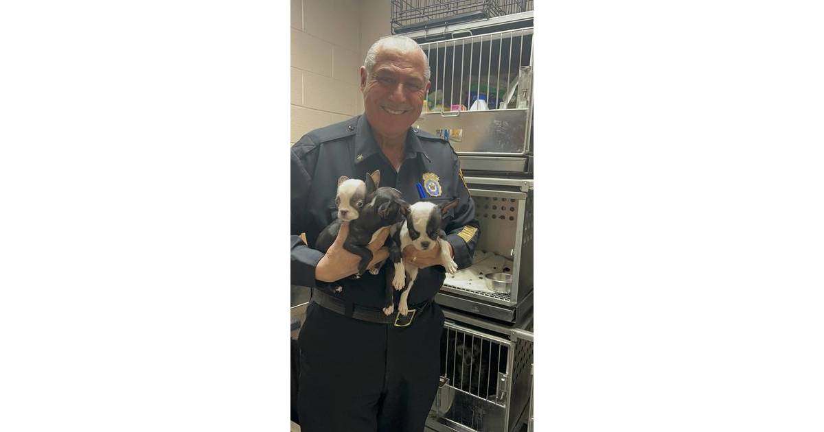 Longtime Animal Control Officer Celebrated for Decades of Service ...