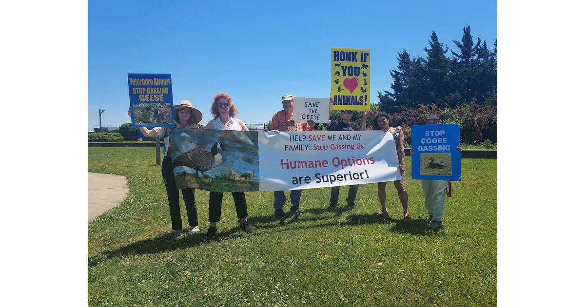 Animal Protection Group Plans Second Protest at Teterboro Airport ...