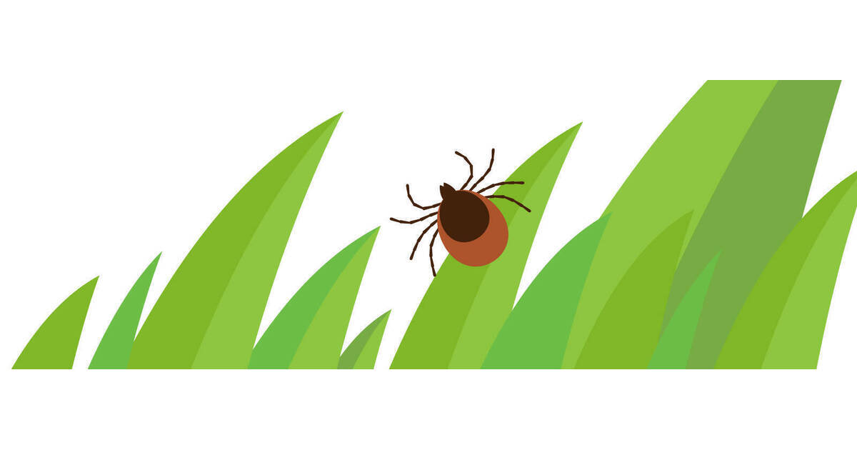Tick Season Is Here: What to Know | Hamilton/Robbinsville, NJ News ...