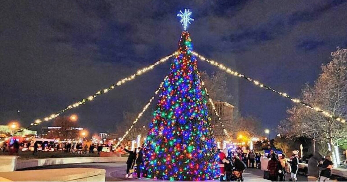 Camden's Tree Lighting Ceremony This Saturday at Waterfront | Camden ...
