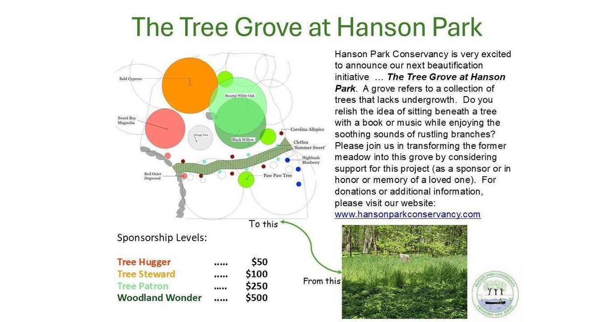 The Tree Grove at Hanson Park | Cranford, NJ News TAPinto | TAPinto