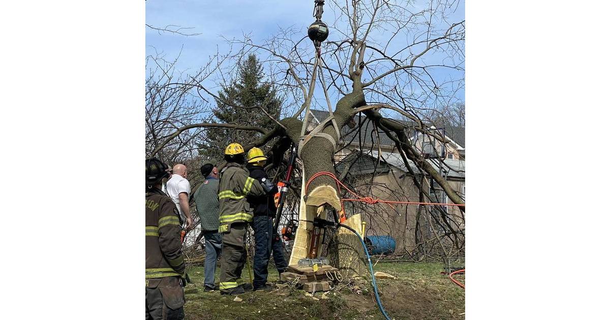 Hawthorne Fire Dept. Goes Out on Limb to Help Trapped Victim ...