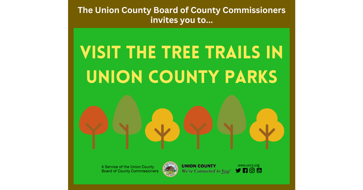 Enjoy Tree-Watching in Union County Parks | Plainfield, NJ News TAPinto