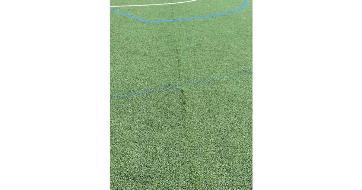 Letter: Edison Field Artificial Turf Dilemma: The Good, the Bad and the ...