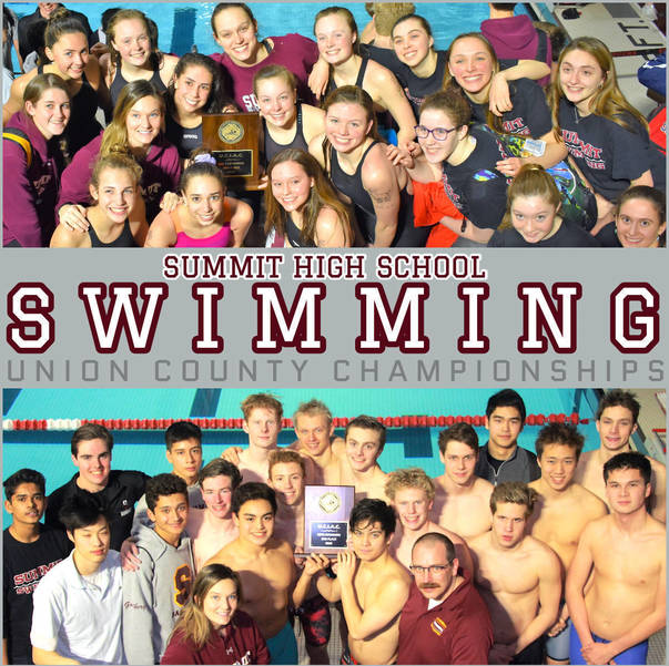 Summit H.S. Girls and Boys Swim Teams Each Earn Second-Place Finishes ...