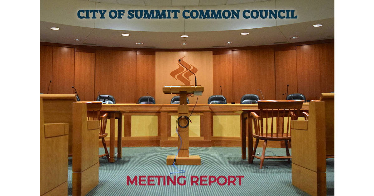 Summit Common Council Says Farewell to Council Member David Naidu ...
