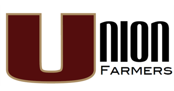 Boys Volleyball: Union Beats Elizabeth, 3-1, in Sectional Semifinals ...