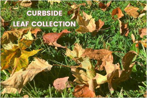 Summit Curbside Leaf Collection Starts Oct. 7 | Summit, NJ News TAPinto ...