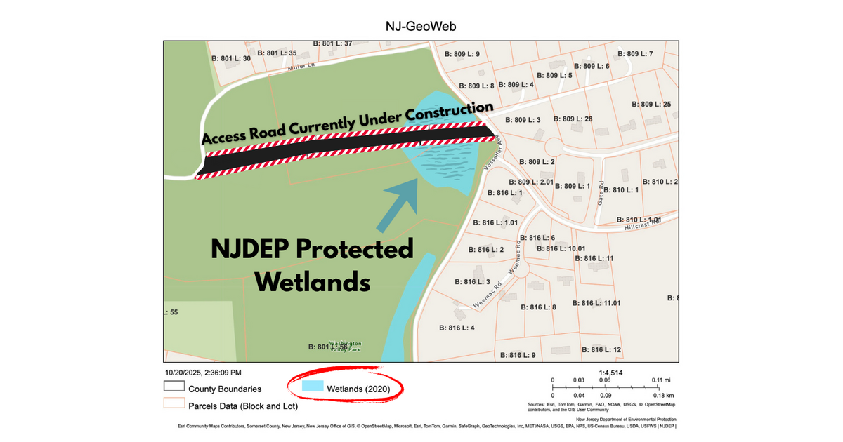 Bridgewater: County May Have Destroyed NJDEP-Protected Wetlands With ...