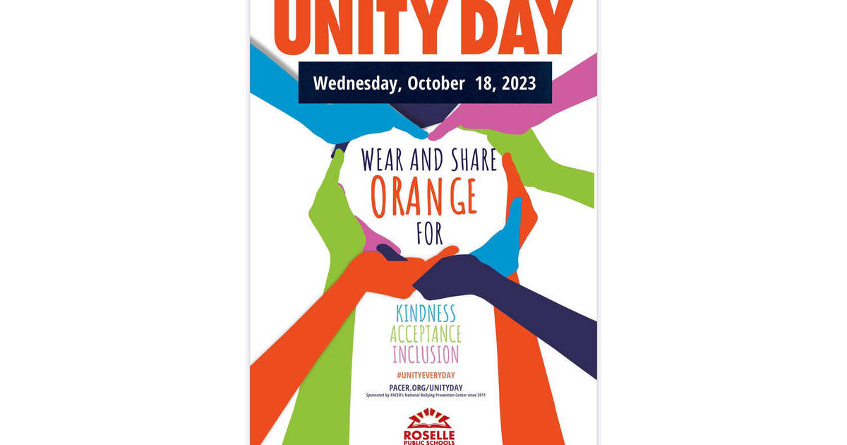 Celebrating Unity Day at Kindergarten Success Academy: United Against ...