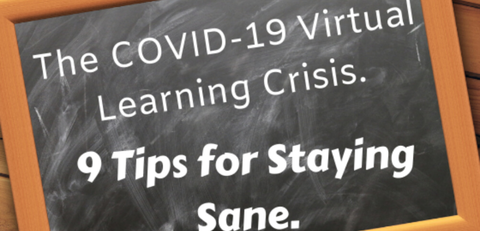 The COVID-19 Virtual Learning Crisis. Nine Tips for Staying Sane | TAPinto